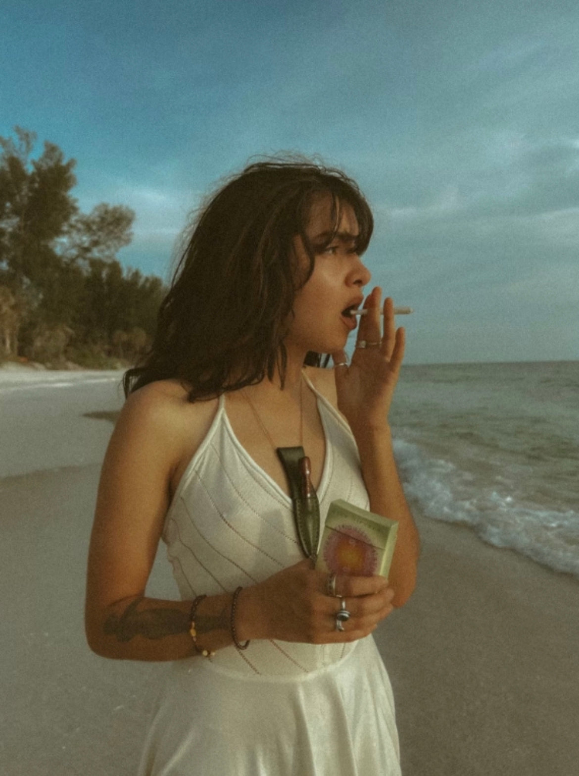 Intro to Sacred Herbal Smokes